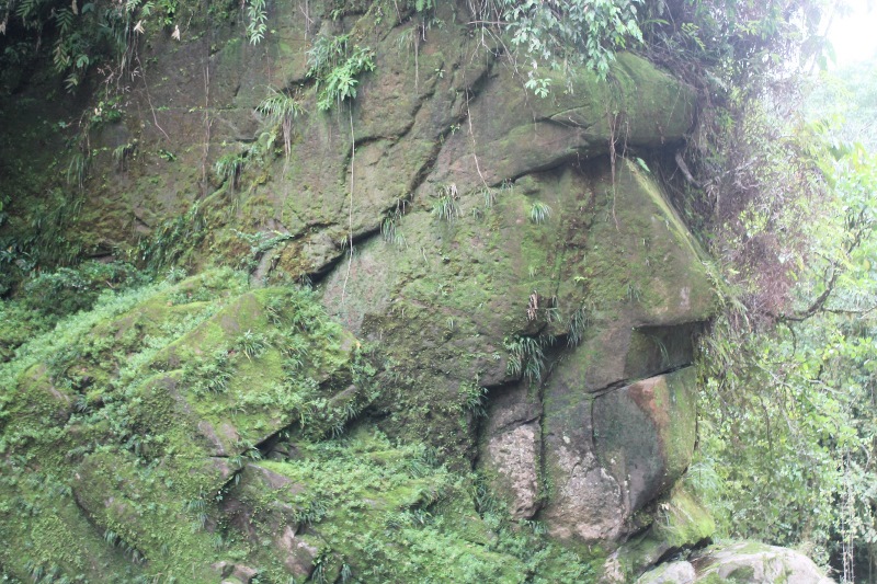 Rostro Harakbut de la Reserva Comunal Amarakaeri es Reconocido como ...